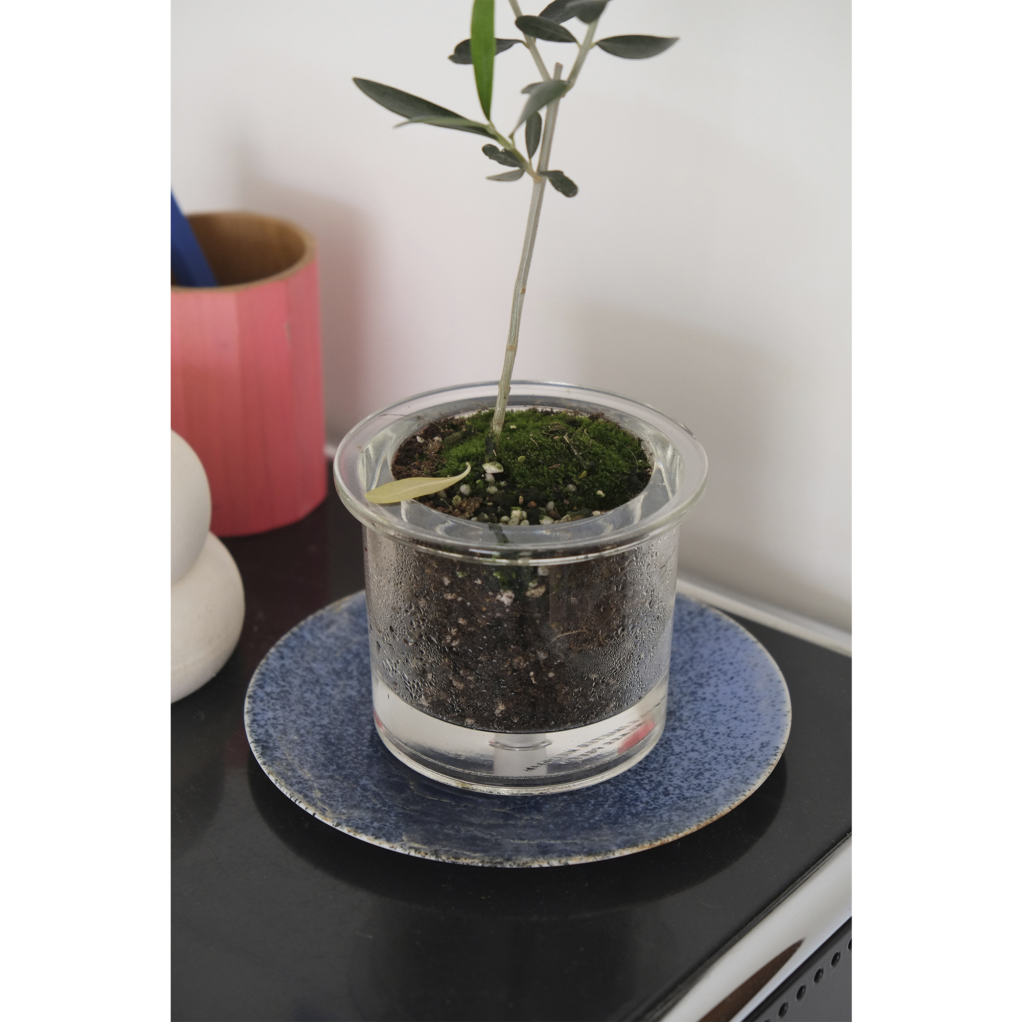 GLASS POT clear 1 | MILLIMETER MILLIGRAM